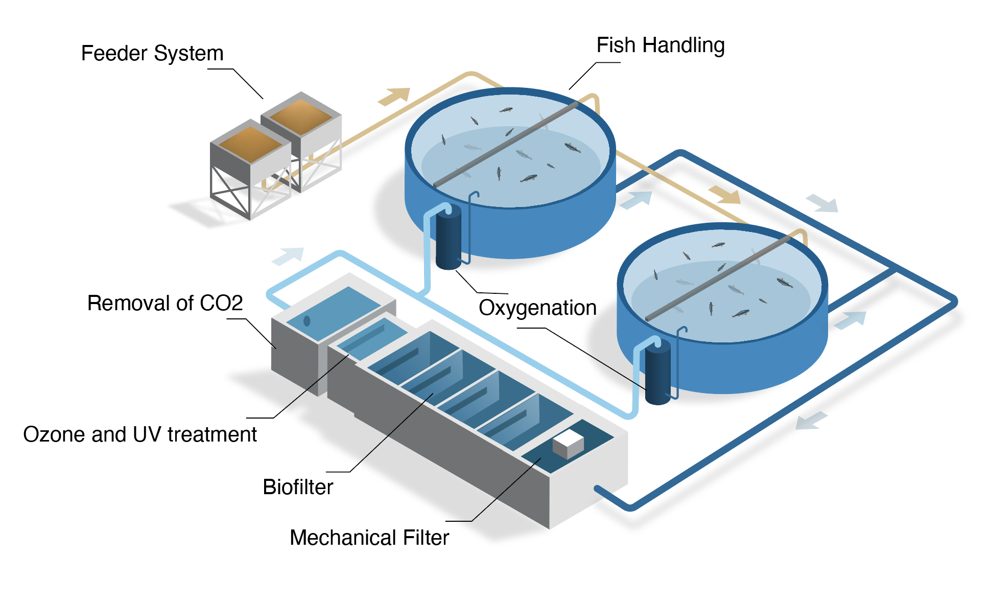 RAS Fish Farming Systems in India | Venonto